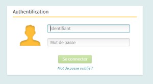 Netypareo : notre guide pour utiliser le portail de formation.