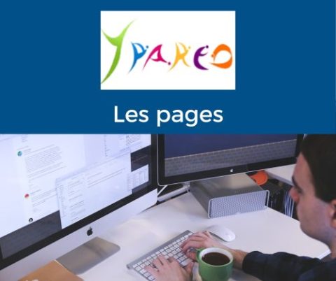 Netypareo : notre guide pour utiliser le portail de formation.